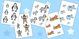 What is an Animal Cell? | Definition and Functions | Twinkl