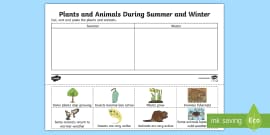 Weather and Animals Worksheet (teacher made) - Twinkl