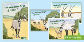 The Arabian Oryx of Qatar Banner (teacher made) - Twinkl