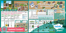 Science: Biodiversity – Minibeasts: Year 2 Medium-Term Plan