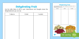 Dehydrated Fruit Observation Activity (teacher made)
