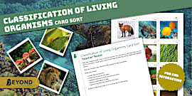 Biological Classification Poster
