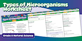 Grade 8 Natural Science Life and Living Assessment Sheet