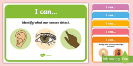 Year 1 HASS I Can Statements Display Cut-Outs (teacher made)