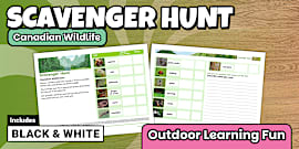 Nature Treasure Hunt - Outdoor Learning Scavenger Hunt