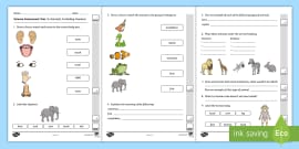 Parts Of The Body Word and Picture Matching Cards - parts of the body word