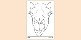 Camel Mask (teacher made)