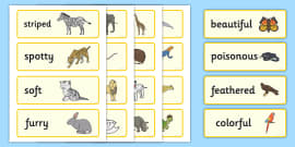 Adjectives for Animals Display Poster - KS1 - Writing