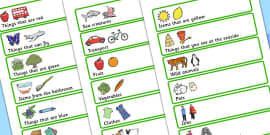 Guess The Category Activity (teacher made)