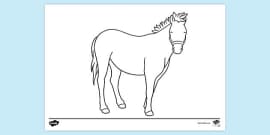 FREE! - Shire Horse Colouring Sheet (teacher made) - Twinkl