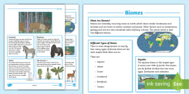 KS2 All About Deserts Fact File - Twinkl