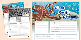 Octopus Fact File Template - Twinkl - KS1 (teacher made)