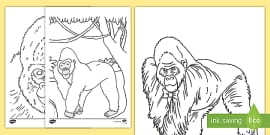 Gorillas Fact File Template,gorilla (teacher made) - Twinkl