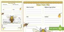 Bee Life Cycle Visual Aid | Spin Wheel | Twinkl Biology