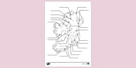 FREE! - Donegal Map of Ireland Colouring | Colouring Sheets
