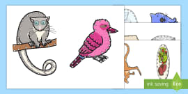 Animal Threading Cards (teacher made) - Twinkl