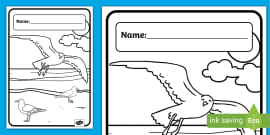 FREE! - Seagull Book Cover (teacher made)