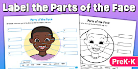 My Face Worksheet for Preschool & Foundation Phase | Twinkl