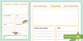 Cheetah Information Layered Flip Booklet (teacher made)