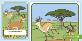 What is an Antelope? - Find out more about this herbivorous land mammal