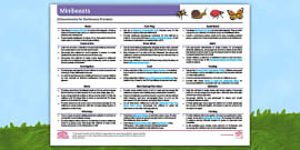 EYFS Reception Minibeasts Bumper Planning Pack