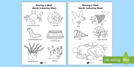 Display Posters to Support Teaching on Sharing a Shell