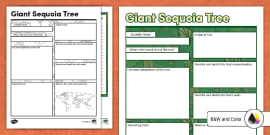 Sixth Grade Research Christmas Graphic Organizer & Writing Template