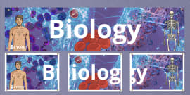 Cell Biology Poster Display Pack | KS3 Science | Beyond