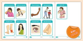 Label the Human Body Activity Sheet (teacher made) - Twinkl