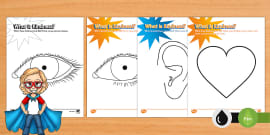 The Extraordinary Eye Parts of the Eye Activity - Twinkl