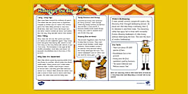 What is a Bee Fact File (teacher made) - Twinkl