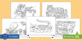 Safari Mindfulness Coloring Sheets (Teacher-Made) - Twinkl