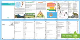 NAPLAN Style Language Conventions Set One Year 5 Sample Exam Questions Pack