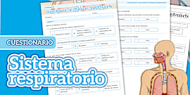 Ficha de actividad: Los cinco sentidos y sus funciones