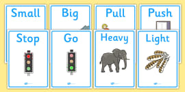 Let's Spot the Opposites! Posters (teacher made)