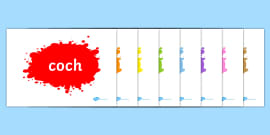 Minibeast Flashcards Welsh/English - Trychfilod, Minibeasts
