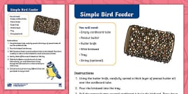 KS1 British Birds and their Eggs Matching Activity - Twinkl