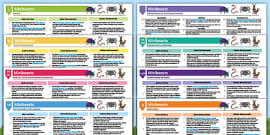 EYFS Goldilocks & the Three Bears Continuous Provision Planning
