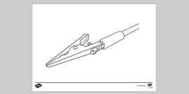 FREE! - Crocodile Billabong Colouring Sheet | Colouring Sheets