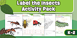 Is It an Insect? Cut and Paste Sorting Activity for K-2nd Grade