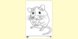 FREE! - Mouse with Finger Clicking Colouring Sheet - Twinkl