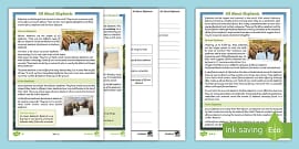 KS1 Elephant Fact File Differentiated Reading Comprehension
