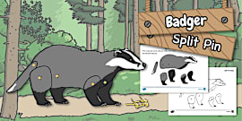 Squirrel Split Pin Activity