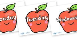 Days of the Week on Cute Animals (teacher made) - Twinkl