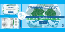 Common Ancestry/Comparative Anatomy Bulletin Board Pack