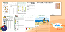 Phase 1 Statistics Display Pack (Teacher-Made) - Twinkl