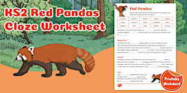 Parts of a Red Panda Labelling Activity