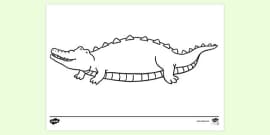 Crocodile Colouring Pages (Teacher-Made) - Twinkl