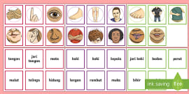 My Body Bingo - Indonesian (teacher made) - Twinkl