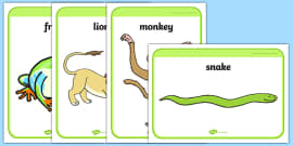 Jungle Journey Word Cards